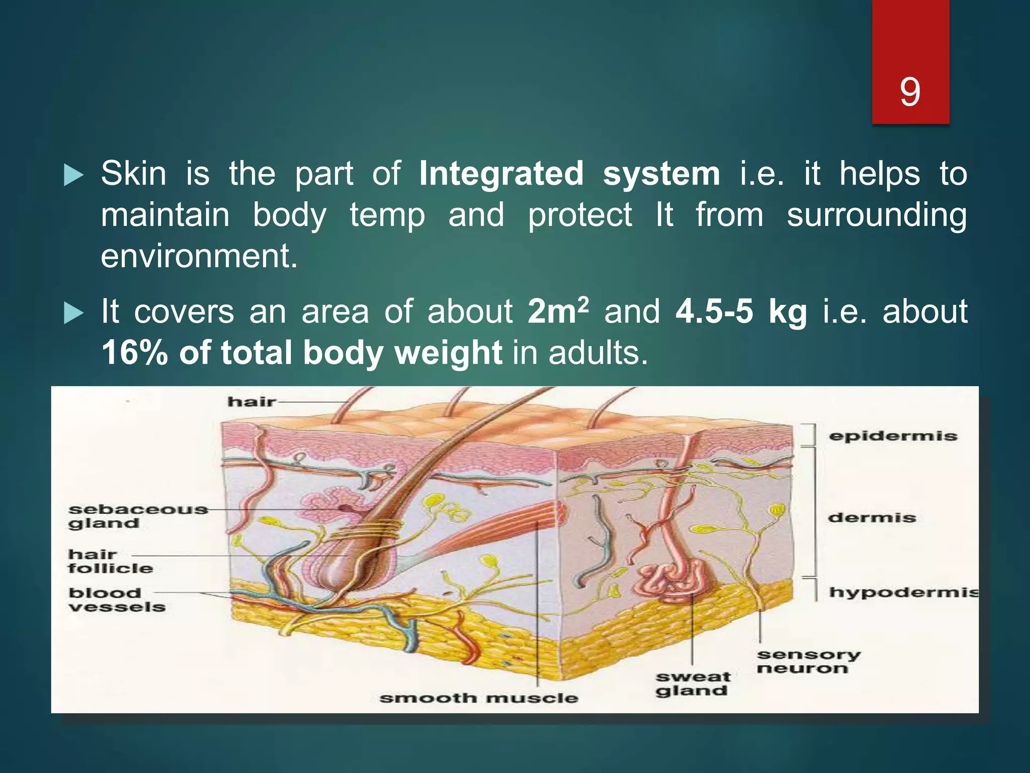 Transdermal drug delivery system | PPTX
