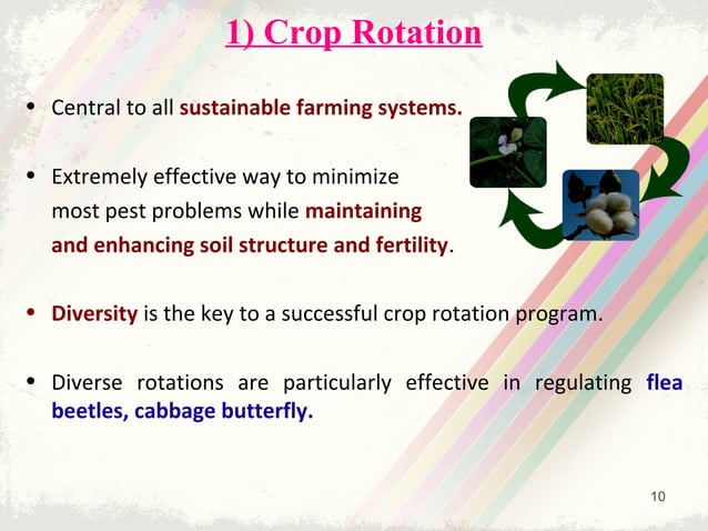 Insect-pest management in Organic Agriculture - Options and Challenges ...