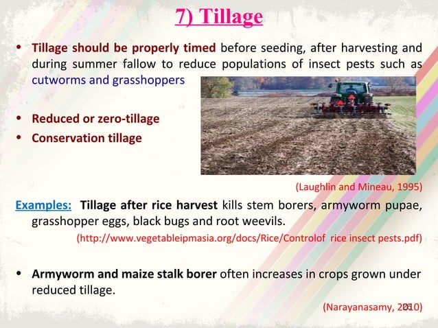 Insect-pest management in Organic Agriculture - Options and Challenges ...