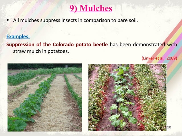 Insect-pest management in Organic Agriculture - Options and Challenges ...