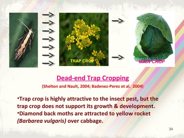 Insect-pest management in Organic Agriculture - Options and Challenges ...