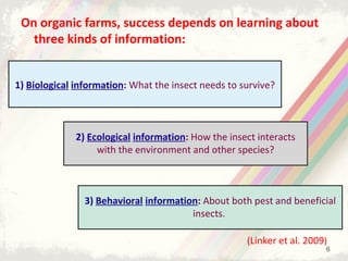 Insect-pest management in Organic Agriculture - Options and Challenges ...