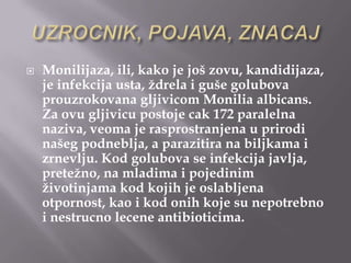 Monilijaza kandidijaza | PPTX