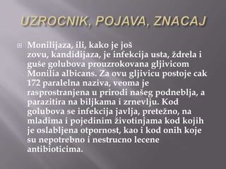 Monilijaza kandidijaza | PPTX