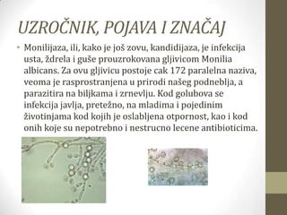 Monilijaza kandidijaza | PPTX