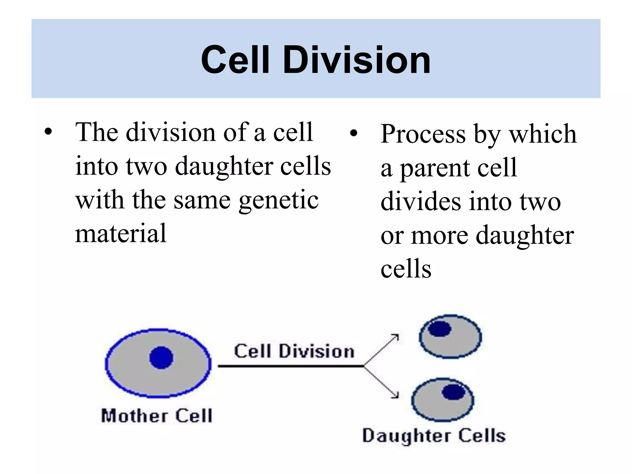 Presentation on cell division - Akib Sumon | PPTX