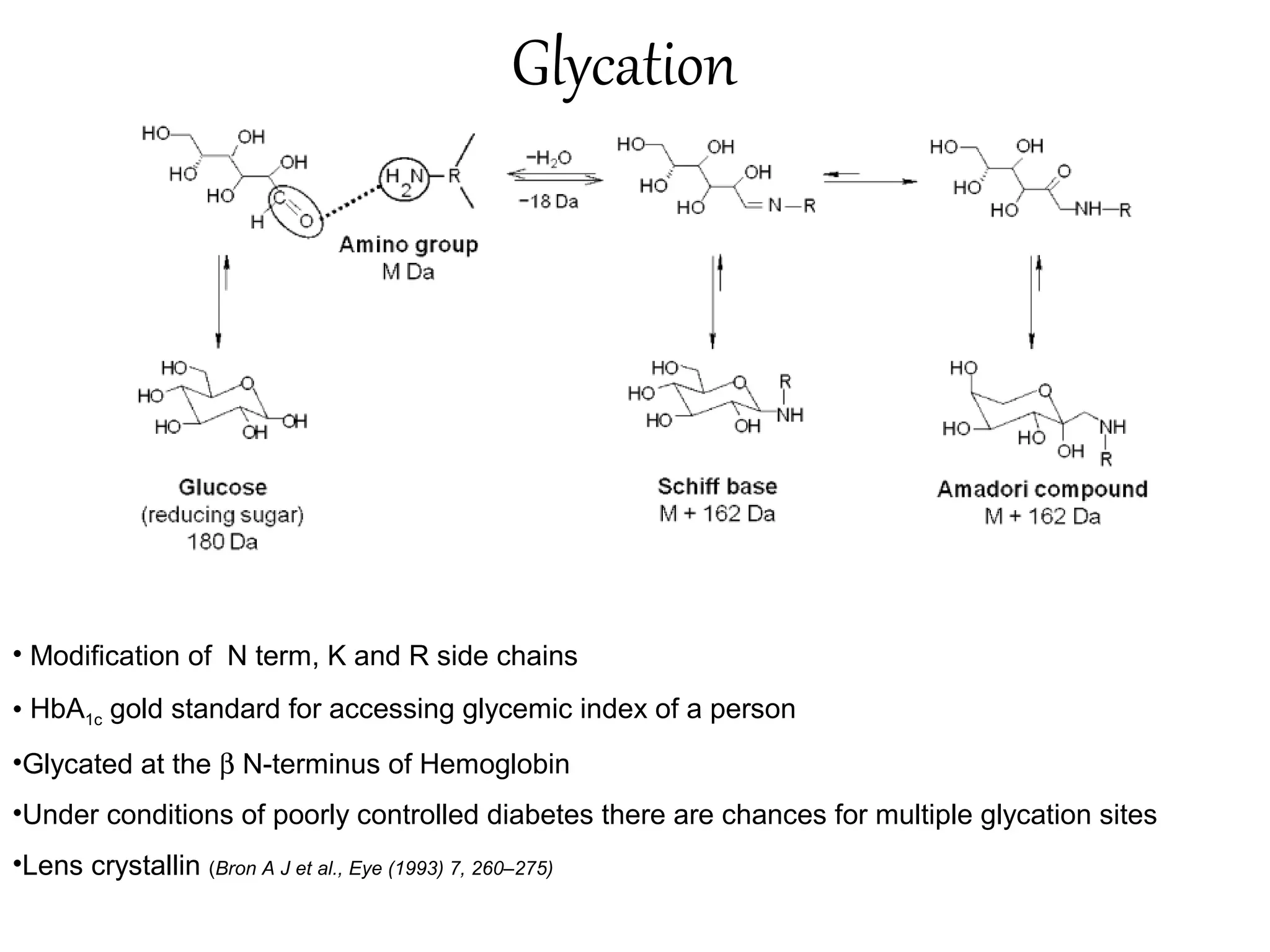 Structural proteomics of glutathionylation and glycation of erythrocyte ...