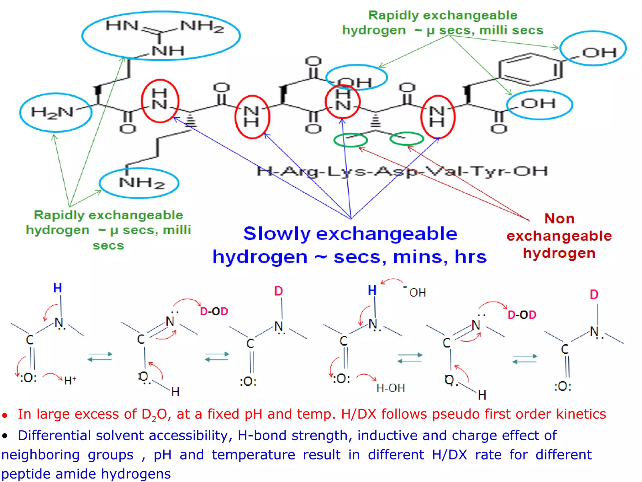 Structural proteomics of glutathionylation and glycation of erythrocyte ...