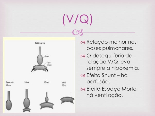 Monitoria de anatomia e fisiologia respiratória