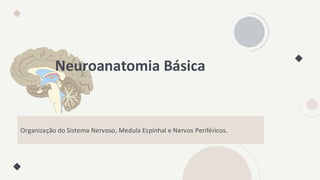 Neuroanatomia- Fisioterapia, monitoria.. | PPT