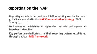 Monitoring and review of NAP implementation | PPT