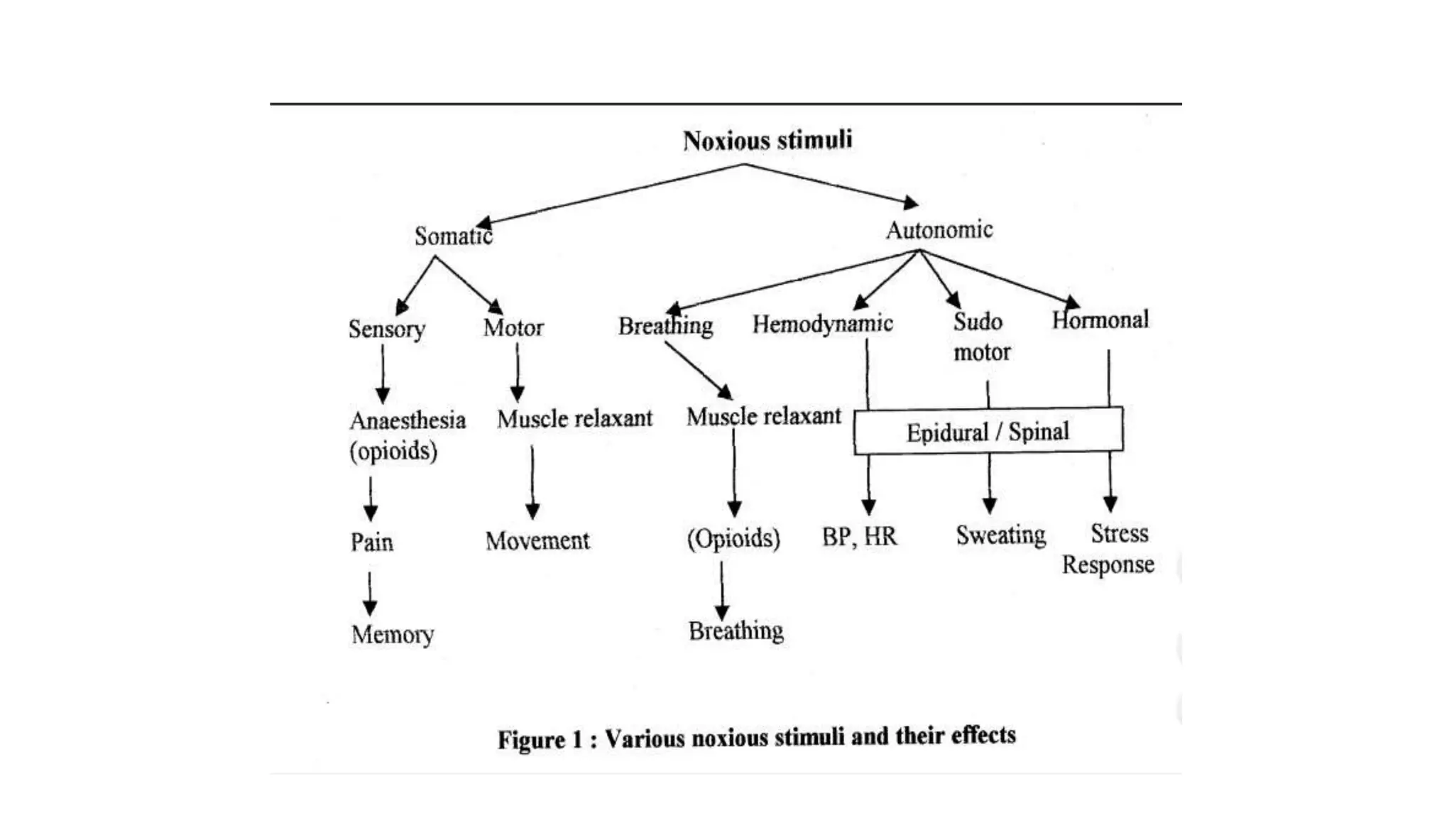 Monitoring depth of anesthesia | PPTX