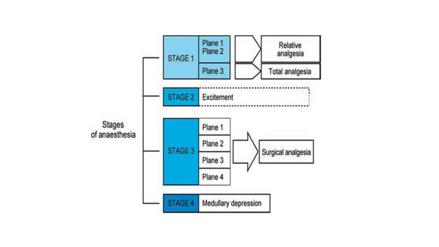 Monitoring depth of anesthesia | PPTX
