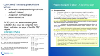 Monitoring Framework for the KMGBF | PDF