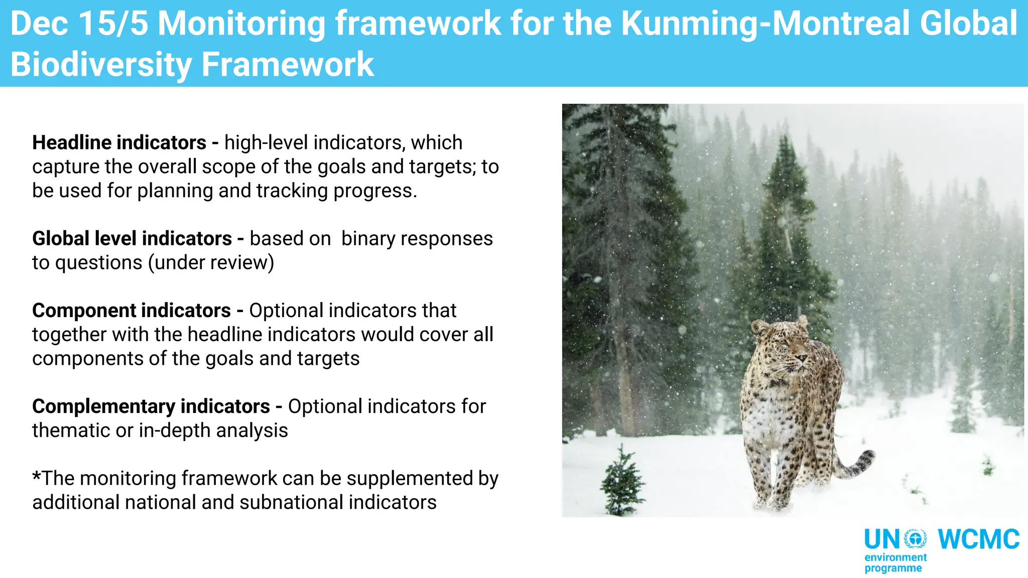 Monitoring Implementation of the Kunming Montreal Global Biodiversity ...