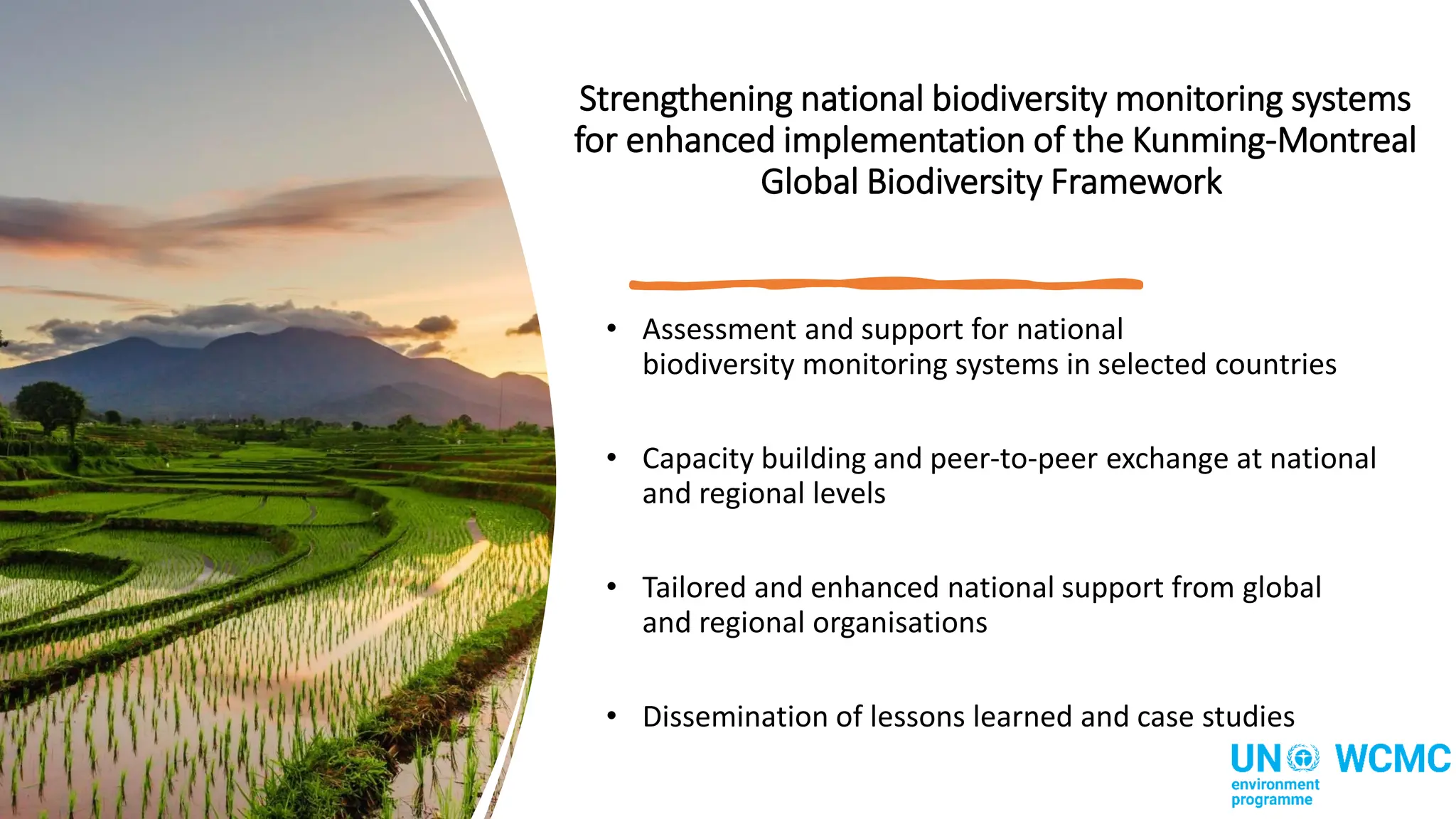 Monitoring Implementation of the Kunming Montreal Global Biodiversity ...