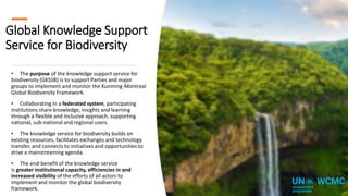 Monitoring Implementation of the Kunming Montreal Global Biodiversity ...