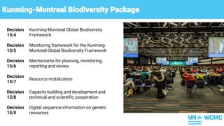 Monitoring Implementation of the Kunming Montreal Global Biodiversity ...