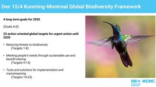 Monitoring Implementation of the Kunming Montreal Global Biodiversity ...