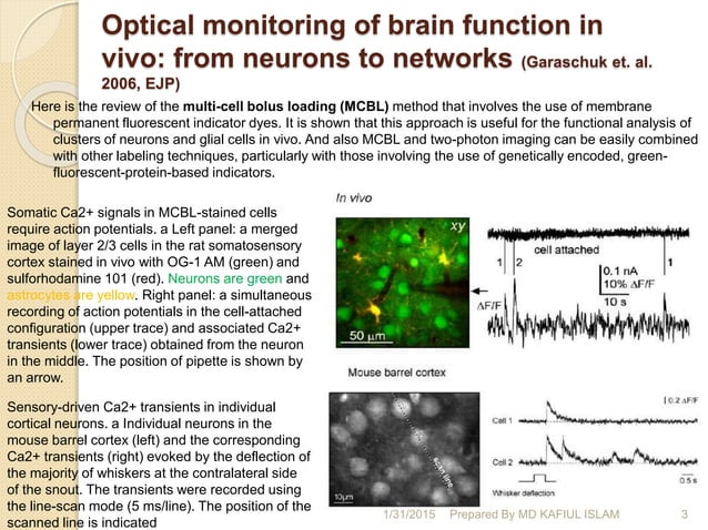 Monitoring neural activities by optical imaging | PPT
