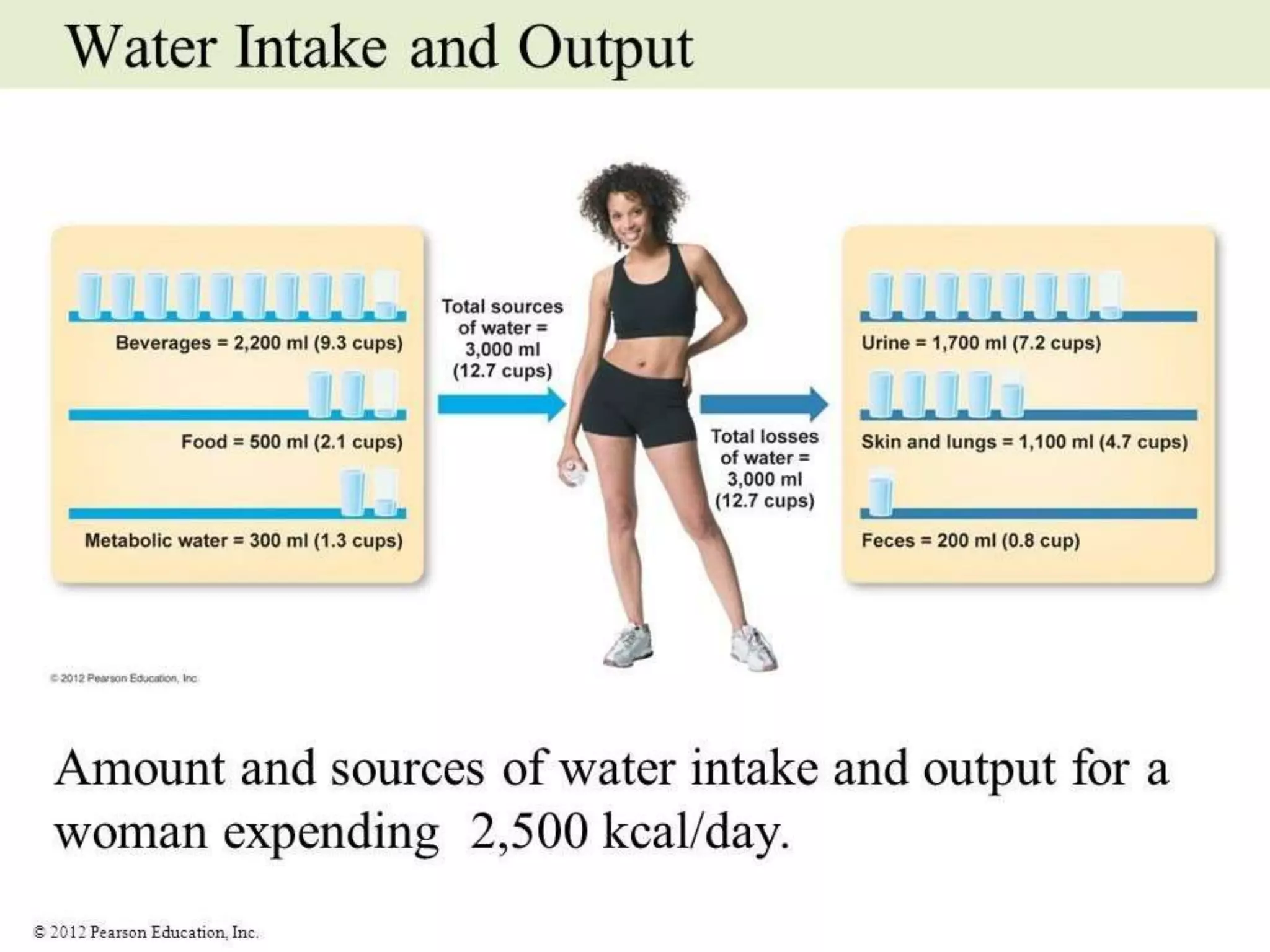 monitoring of intake and output.pptx