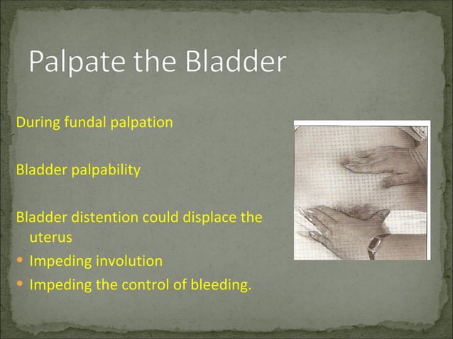 Monitoring Postpartum Recovery Pp Inservice | PPT | Pregnancy ...