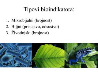 Monitoring životne sredine i bioindikatori | PPTX