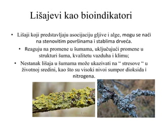 Monitoring životne sredine i bioindikatori | PPTX