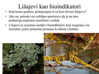 Monitoring životne sredine i bioindikatori | PPTX