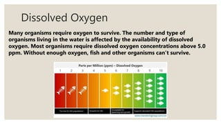 Monitoring water quality | PPTX | Indoor Environmental Quality | Home ...