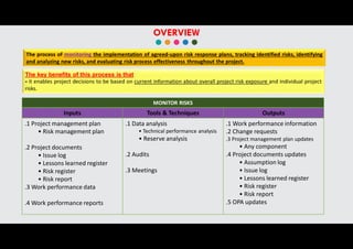 Monitor risks | PPT
