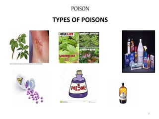 poison and forensic importance | PPTX