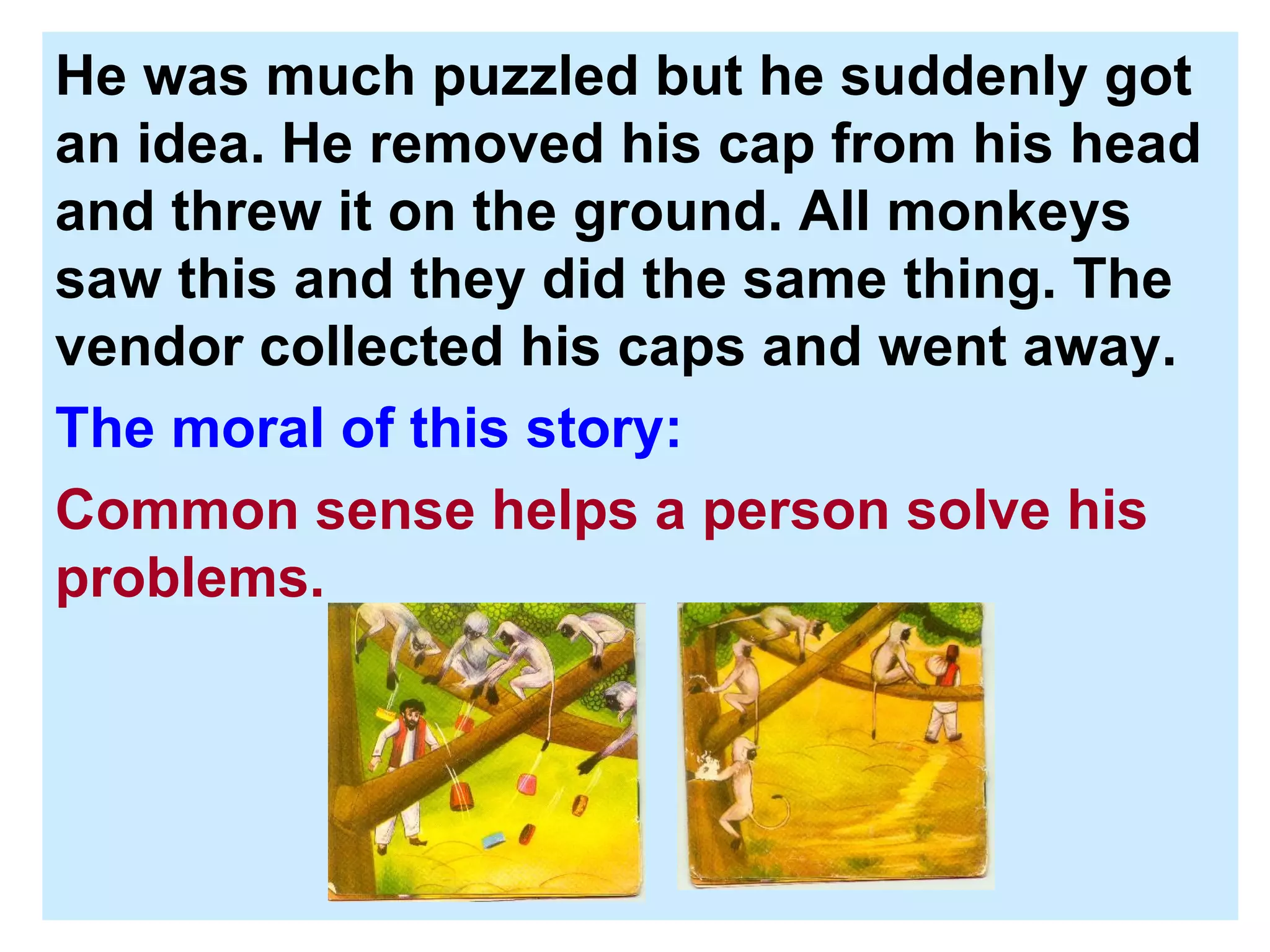 Monkey | PPT