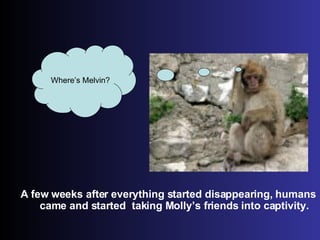 kara scully and nathan shashoua children's book | PPT