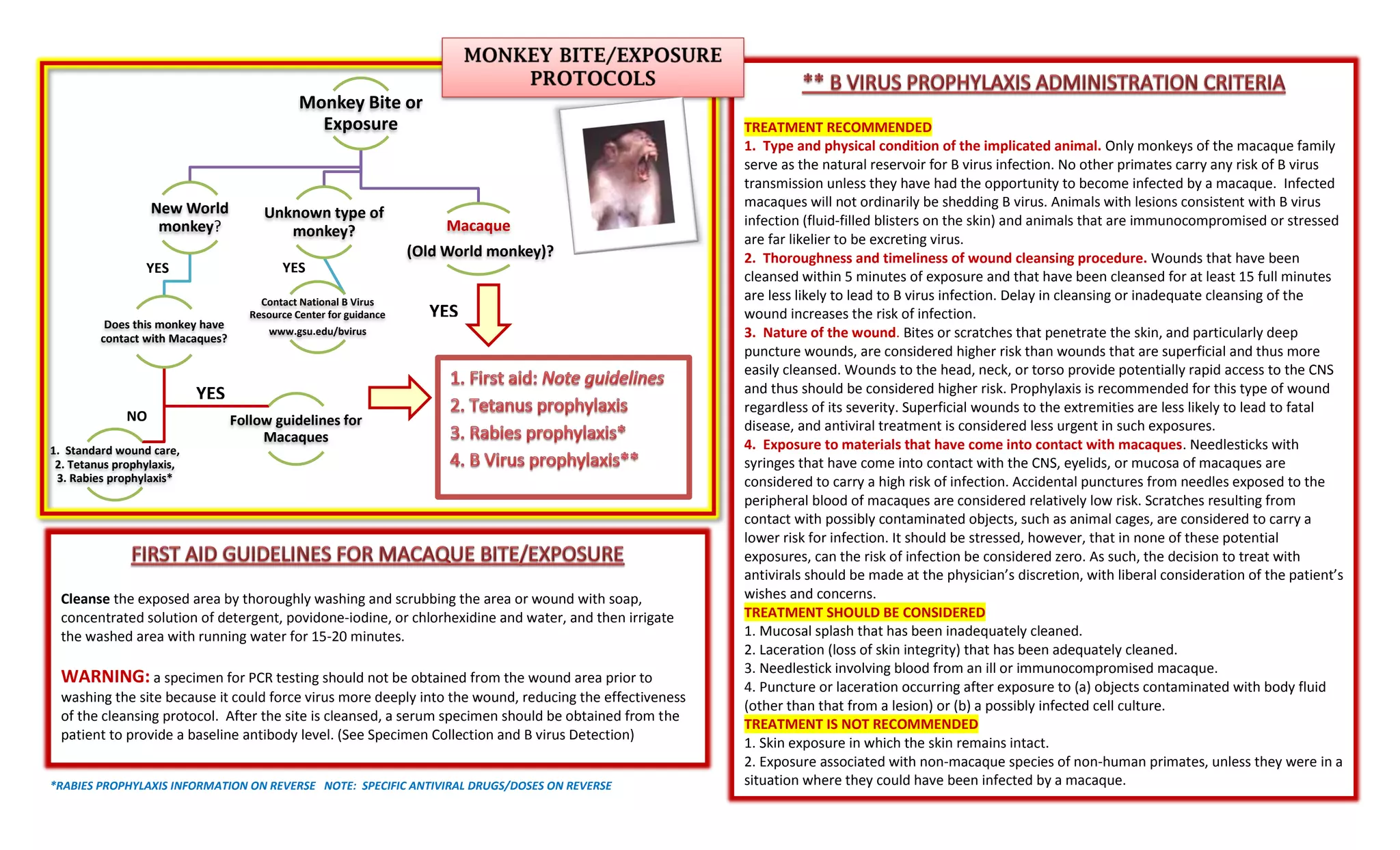 Monkey Bite Protocol.pdf