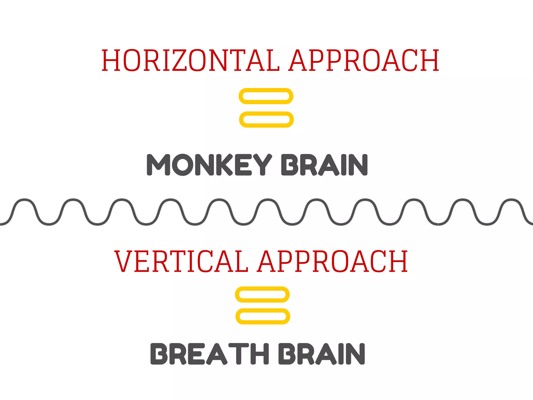 Monkey brain | PDF