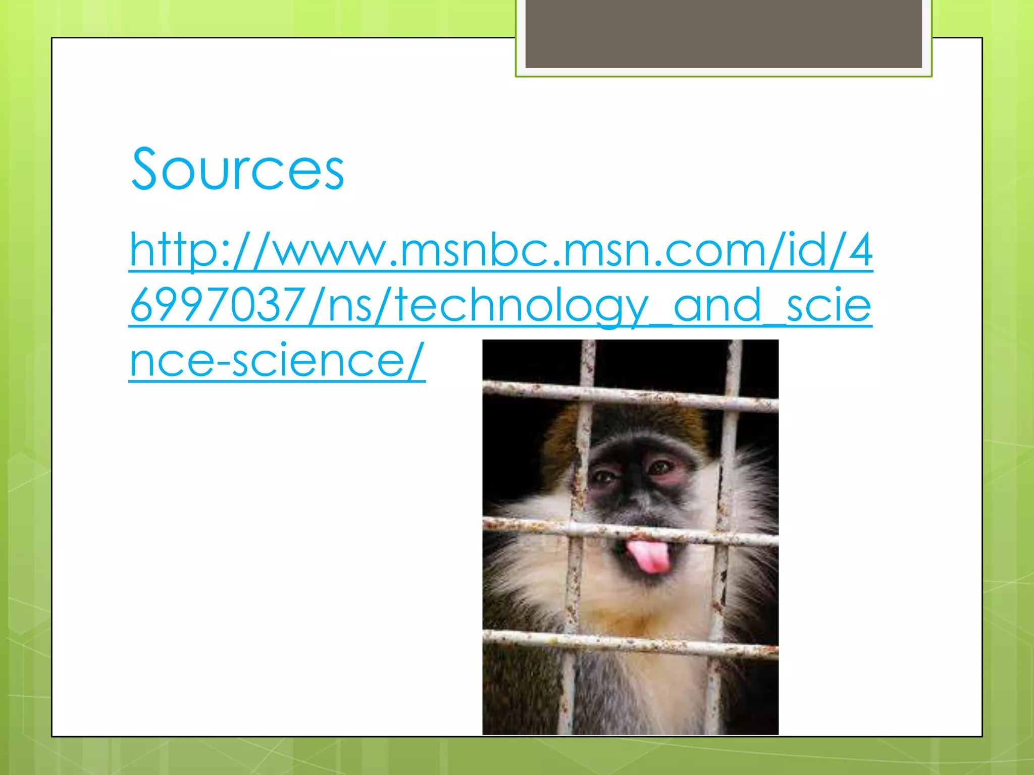 Monkey bullying | PPTX