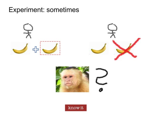 Monkey Business | PPTX