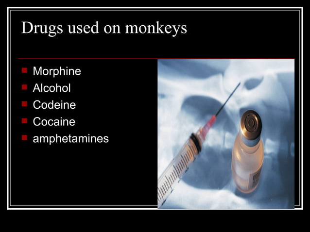Monkey drug trials | PPT