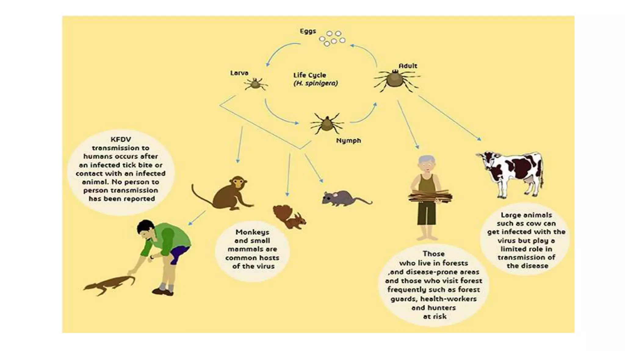 Monkey fever 2020 | PPT