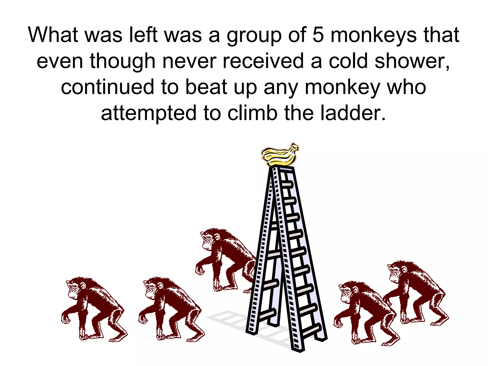 Monkey lesson | PPT