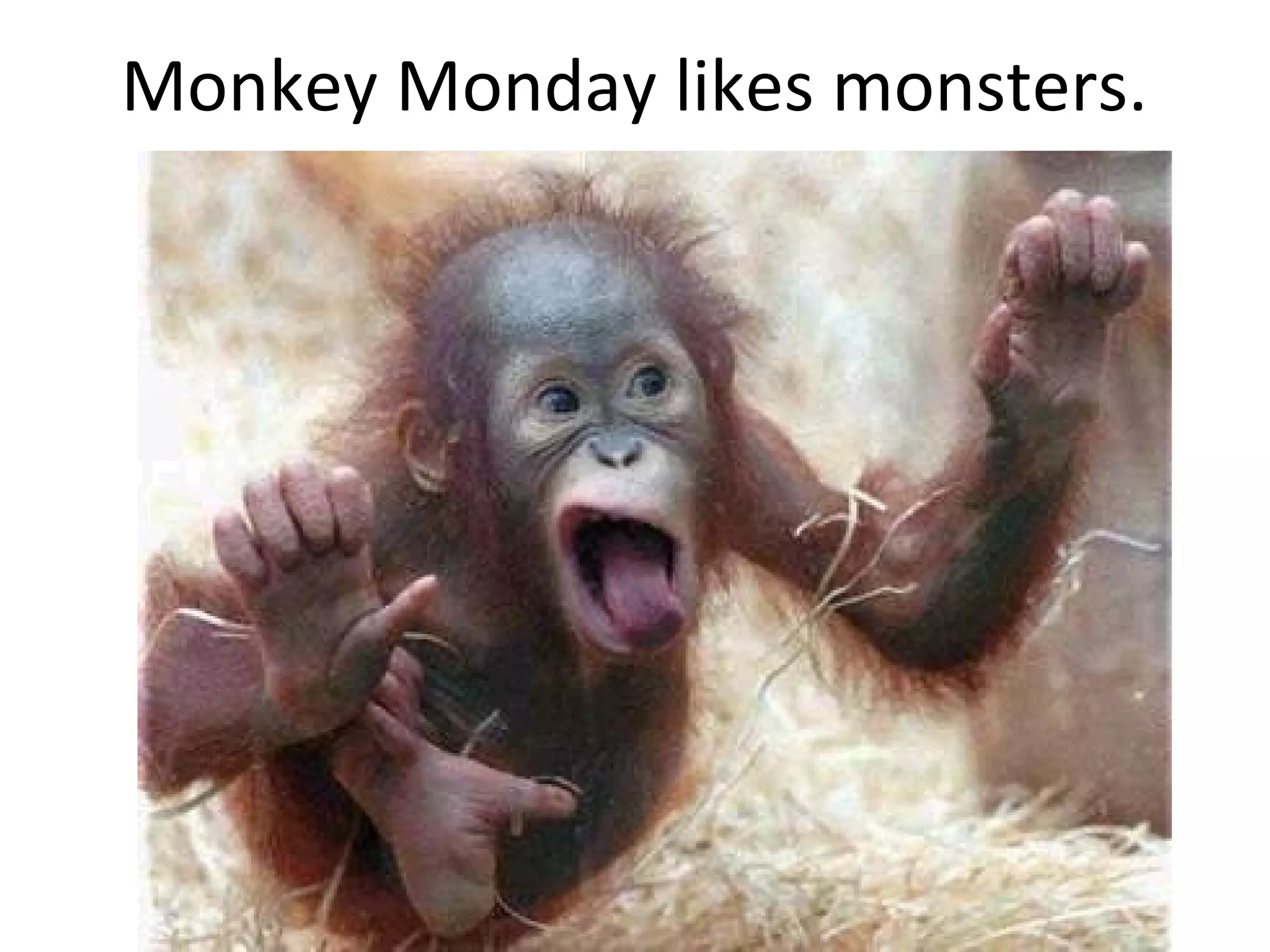Monkey monday | PPS