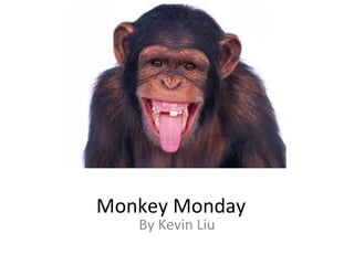 Monkey monday | PPS