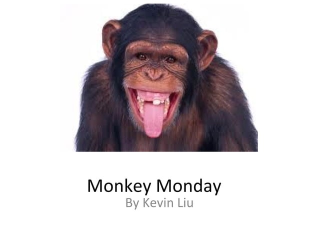 Monkey monday | PPS