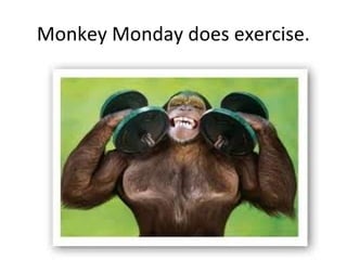 Monkey monday | PPS