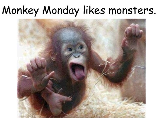 Monkey monday