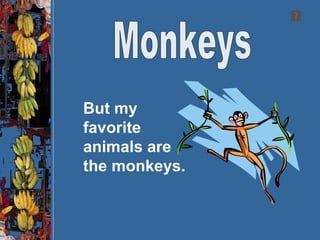Monkey powerpoint kids | PPT