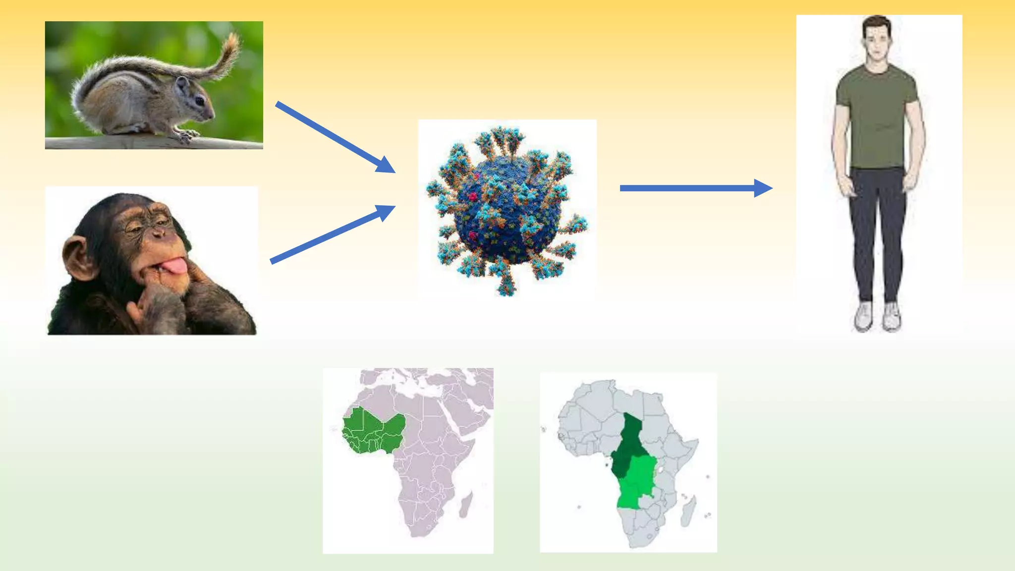 Monkeypox | PPTX