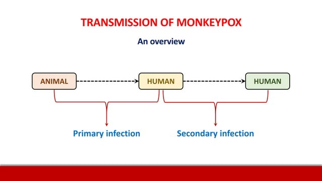 Monkeypox_An overview.pptx | Infectious Diseases | Diseases and Conditions