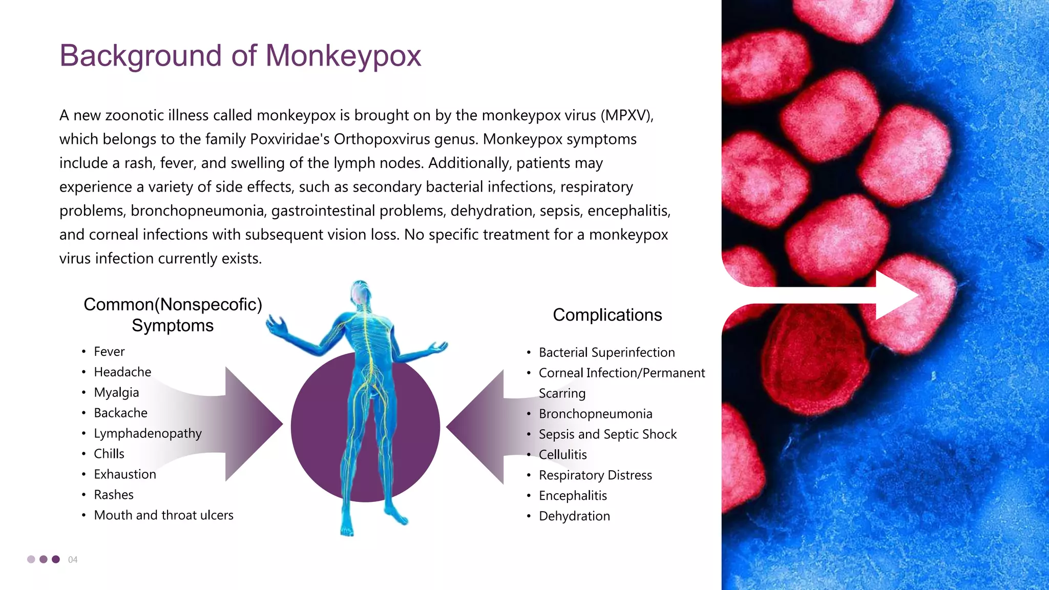 Monkeypox Drug and Vaccine Discovery - Creative Biolabs | PPT